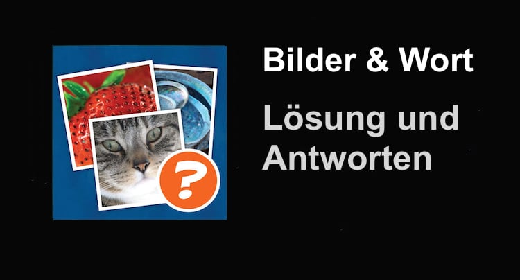 Bilder und Wort Rätsel Was ist das Wort Lösung aller Level